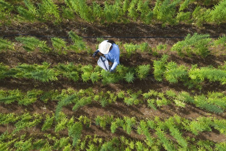 iMEdD - Incubator for Media Education and Development